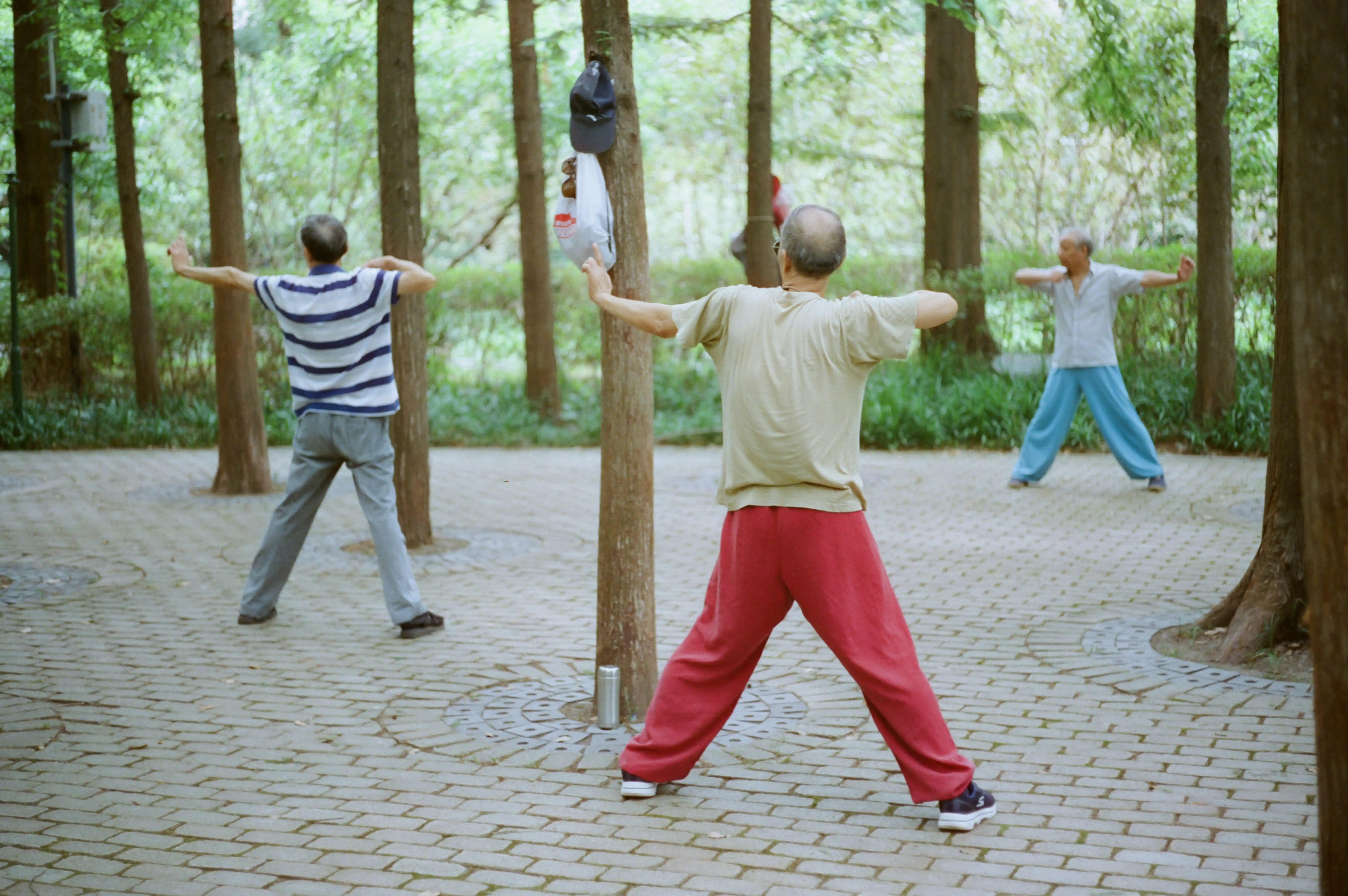 A 7-Day Start to Tai Chi Walking | Tai Chi Walking | Authentic Wudang ...